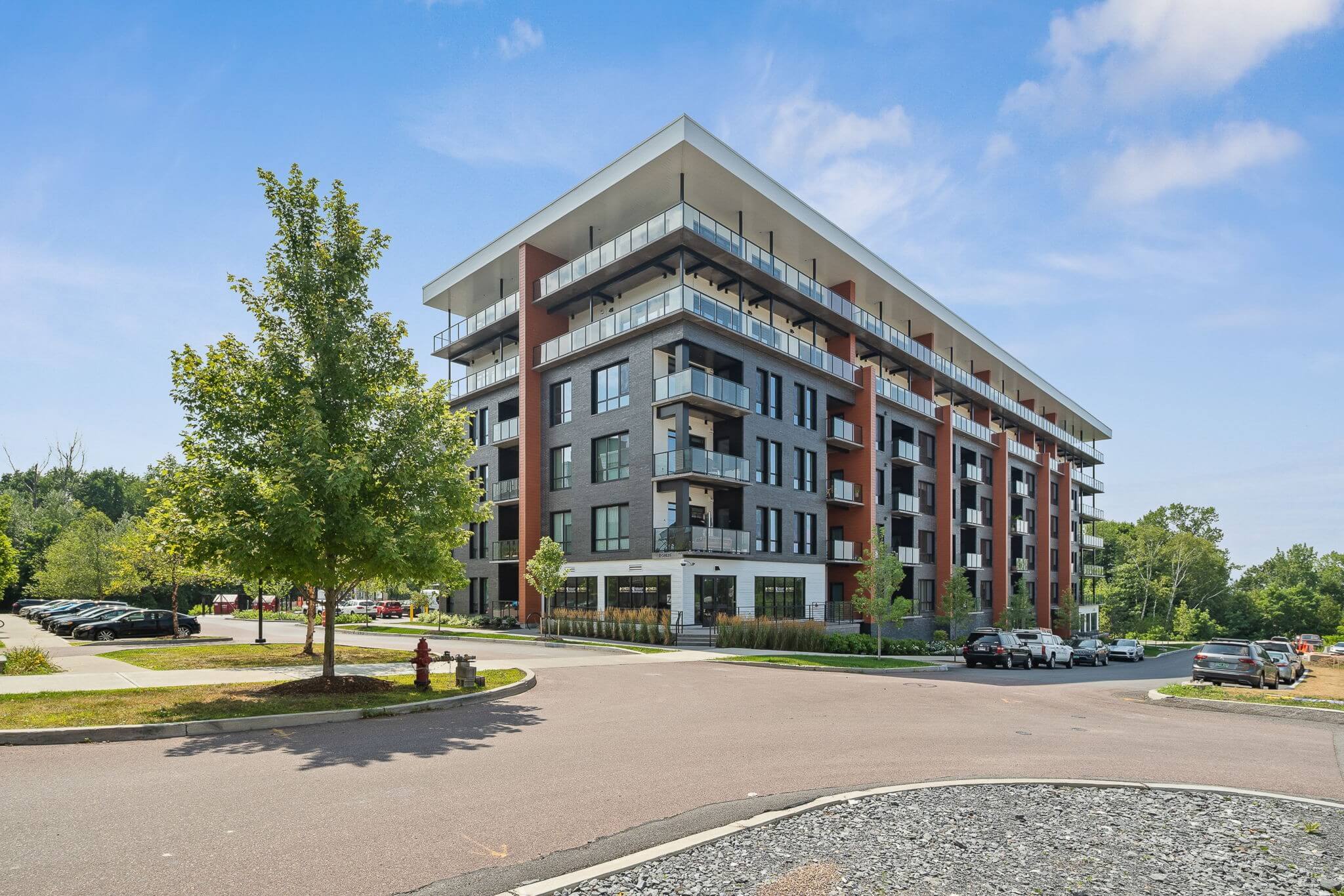 About | S.D. Ireland Properties