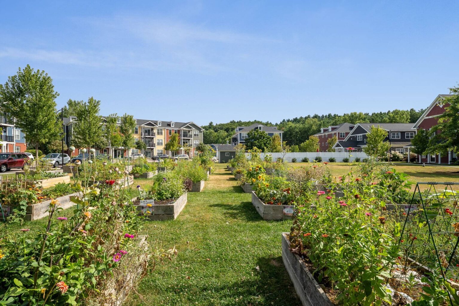 Bayberry Commons Condos For Rent | S.D. Ireland Properties | Apply Today