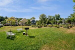 Bayberry Commons Condos For Rent | S.D. Ireland Properties | Apply Today